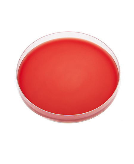 محیط کشت (Blood Base Agar)